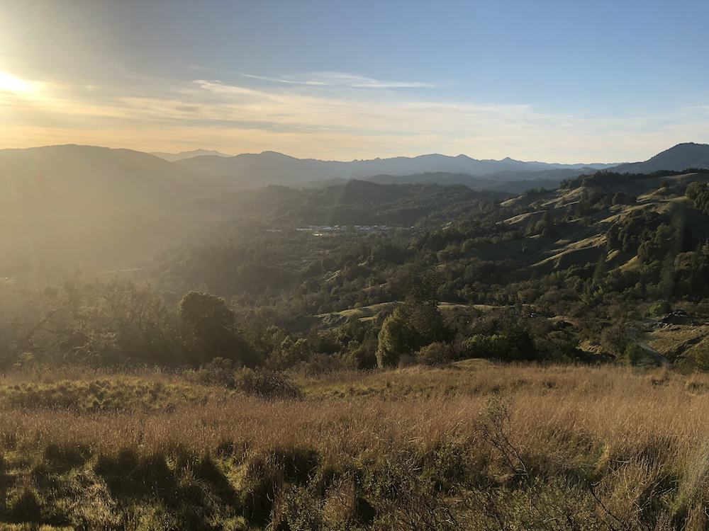 Southern Humboldt Sohum | Minter Dial