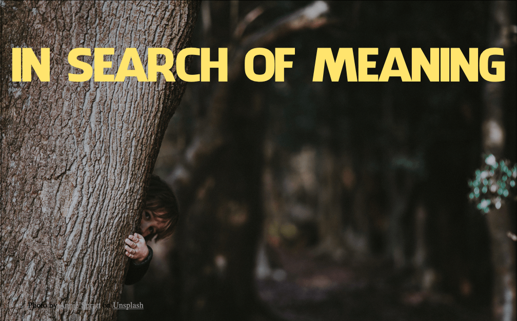 In Search of Meaning | Minter Dial